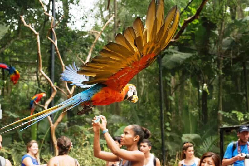 Guided Tour to the Bird Park - VIP Tour - Who Should Consider This Tour?