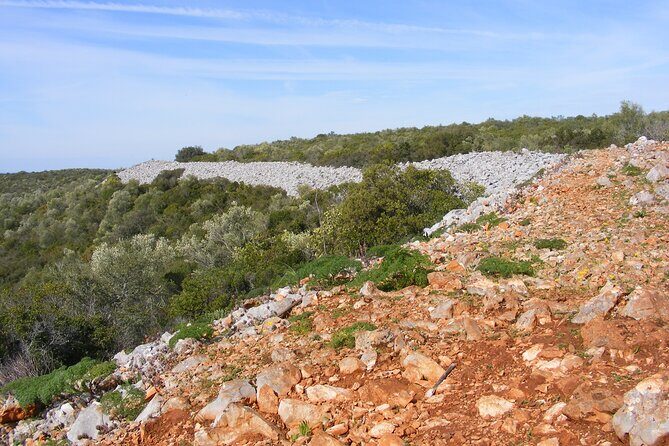 Guided Tour to the Geological Monument of Rocha da Pena - Practical Details and Tips for Travelers
