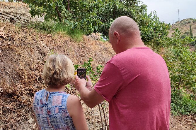 Guided Tour to the Only Coffee Farm in Europe - Accessibility and Recommendations