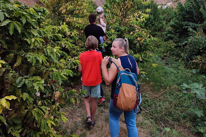Guided Tour to the Only Coffee Farm in Europe - Multilingual Support and Family-Friendly Environment