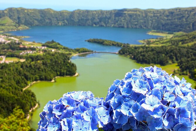 Guided Tour to the Sete Cidades Volcano in São Miguel Azores - Who This Tour Is Best For