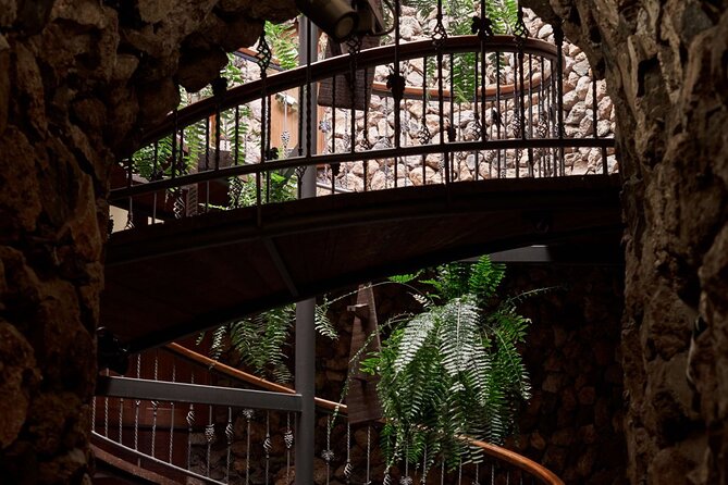 Guided Tour with 6 Wine Tasting - Authenticity and Sustainability at the Heart