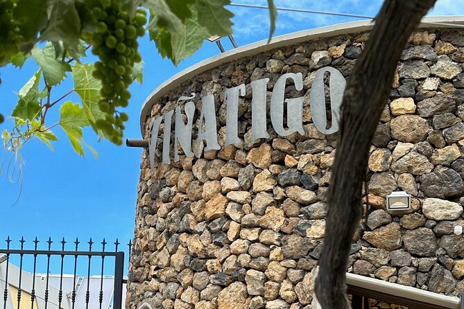 Guided Tour with 6 Wine Tasting - Visual and Sensory Experience