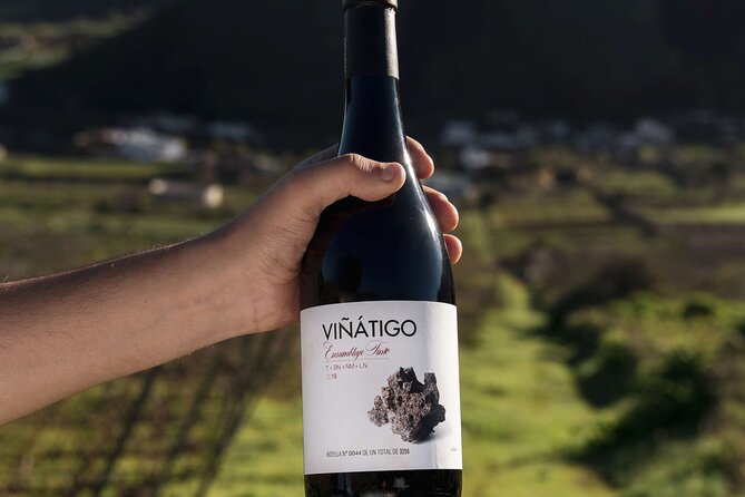 Guided Tour with 6 Wine Tasting - Value for Money: Is It Worth the Price?