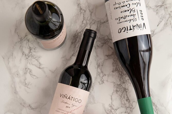 Guided Tour with 6 Wine Tasting - Summary: Who Will Love This Tour?