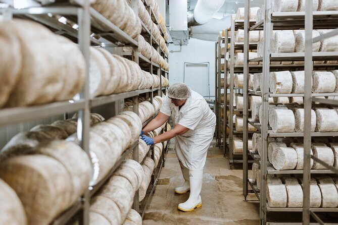 Guided Tour with Cheese & Wine Pairing - Key Points