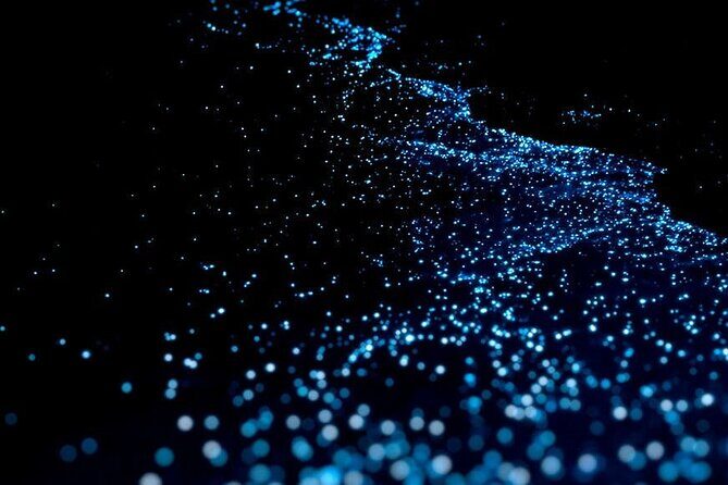 Guided Tour with Horseback Riding and Bioluminescence in Puerto Escondido - The Experience of the Guides and the Group