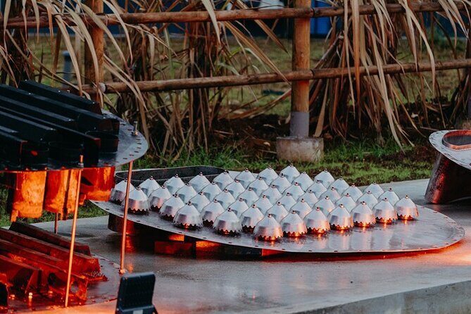 Guided tour with tasting of the Distillery Bonne Mère - The Sum Up