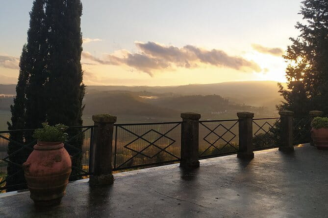 Guided tour with wine tasting and local organic products - The Value of the Tour