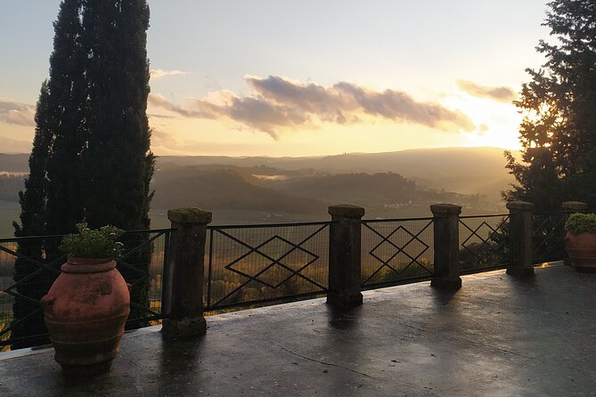 Guided Tour With Wine Tasting and Local Organic Products - Accessibility and Participation