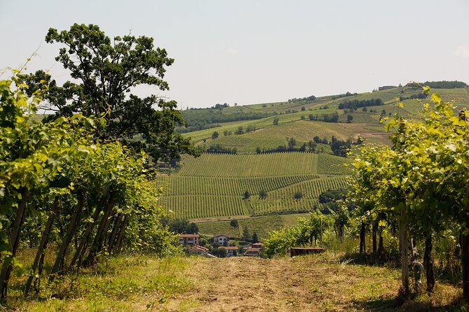 Guided Tour With Wine Tasting - Booking Information