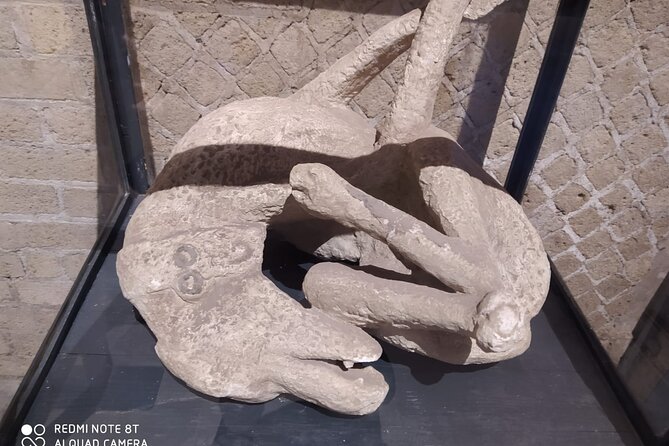 Guided Tours of Pompeii Excavations Historical and Cultural Itineraries - Engaging Storytelling and Modern Psychological Insights