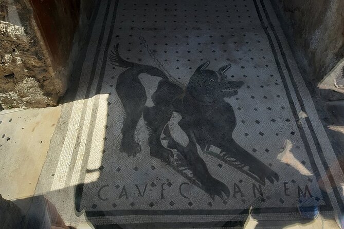 Guided Tours of Pompeii Excavations Historical and Cultural Itineraries - Logistical Details: Meeting Point, Start Time, and End Location