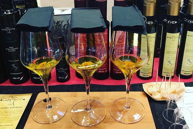 Guided Tours of the Olive Grove With Oil Tasting. - Guest Experiences and Feedback