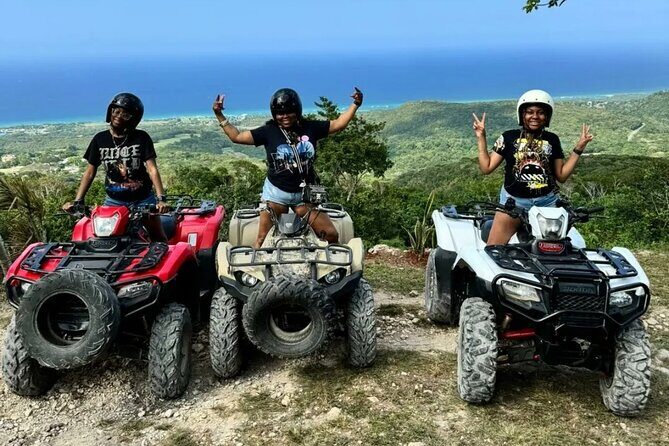 Guided tours, sightseeing trips, transport and excursions - An In-Depth Look at the Experience