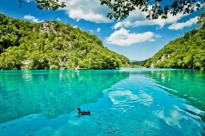 Guided Transfer From Split to Zagreb With Plitvice Lakes Stop - Inclusions and Costs