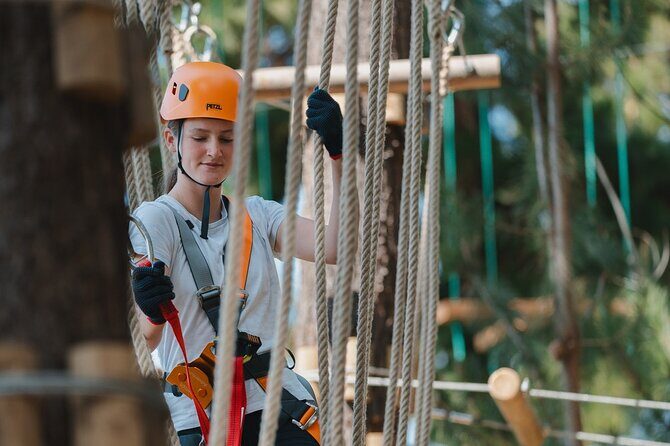 Guided Tree Ropes Course Experience in Majura Pines - What Is the Guided Tree Ropes Course Experience?