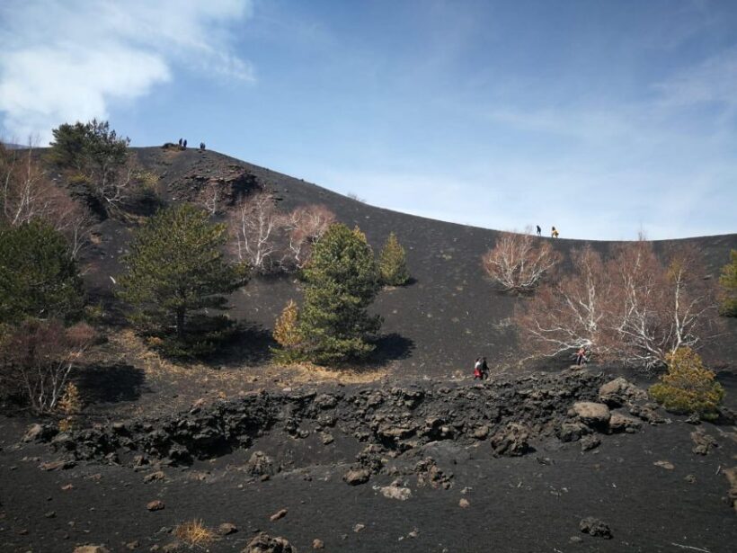 Guided trekking on Etna Volcano with transfer from Syracuse - The Sum Up
