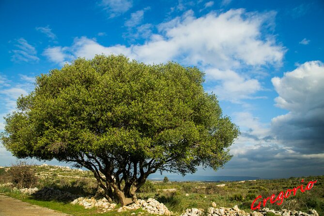 Guided Trekking to Cavagrande Del Cassibile in Sicily - Insights Into the Geological Formations