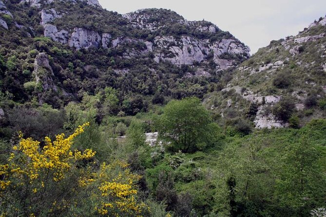 Guided Trekking to Cavagrande Del Cassibile in Sicily - Health and Accessibility Considerations
