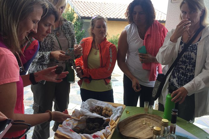 Guided Truffle Hunt Istria - Exploring the Itinerary in Detail