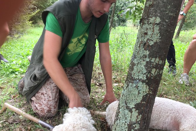 Guided Truffle Hunt Istria - Who Will Love This Tour?