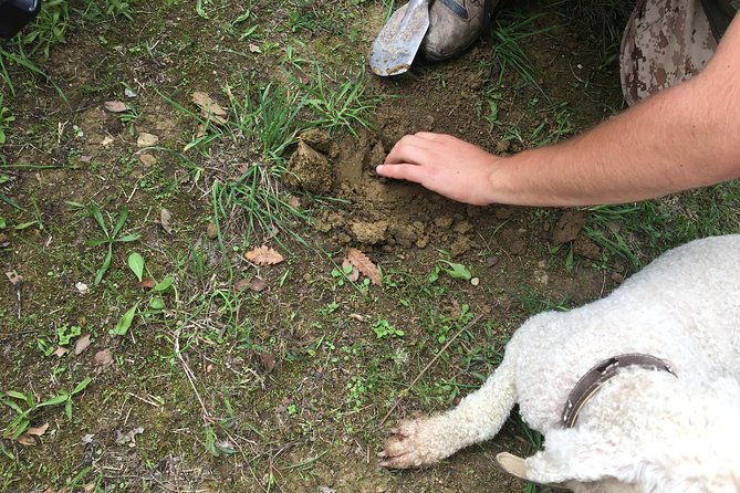Guided Truffle Hunt Istria - FAQ