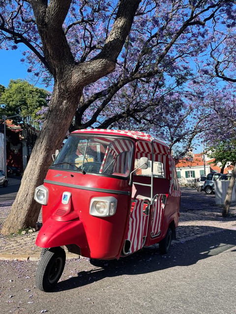 Guided tuk tuk tour in Lisbon's old neighborhoods - Exploring Lisbon in a Tuk Tuk: An Authentic and Practical Approach