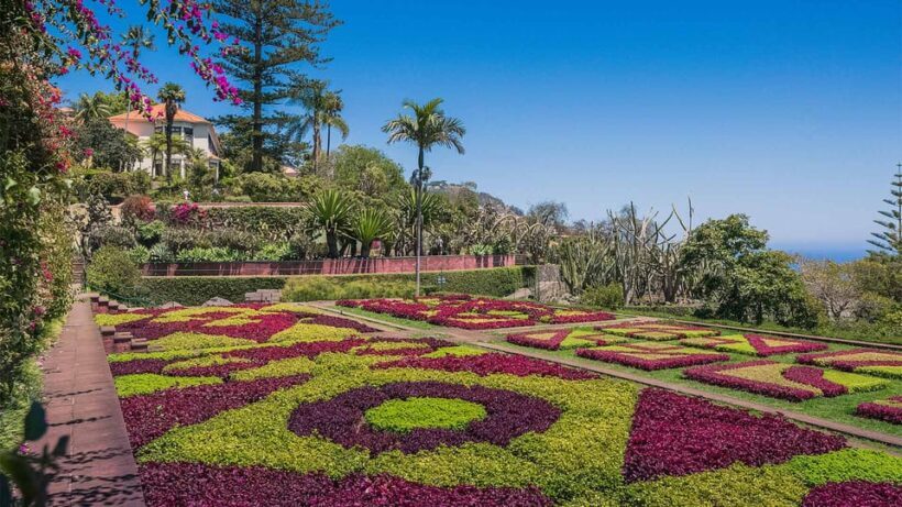 Guided Tuk-Tuk Tour to Botanical Garden (From Funchal) - Key Points