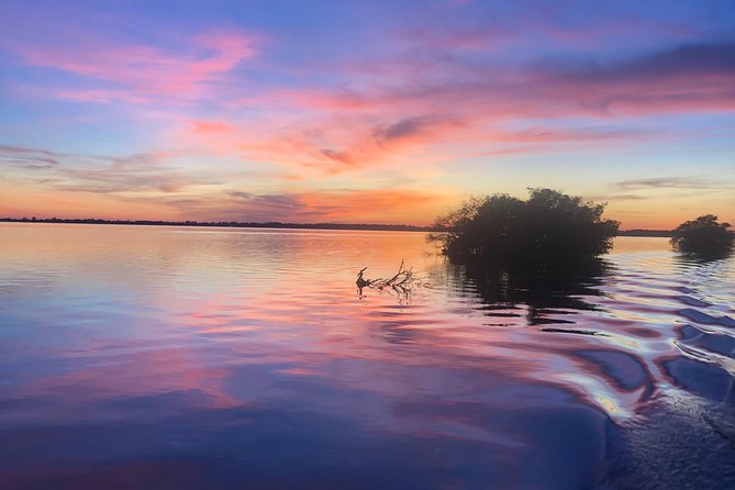 Guided Two Hour Boat Tour of the Indian River Lagoon - Insights From Knowledgeable Guides