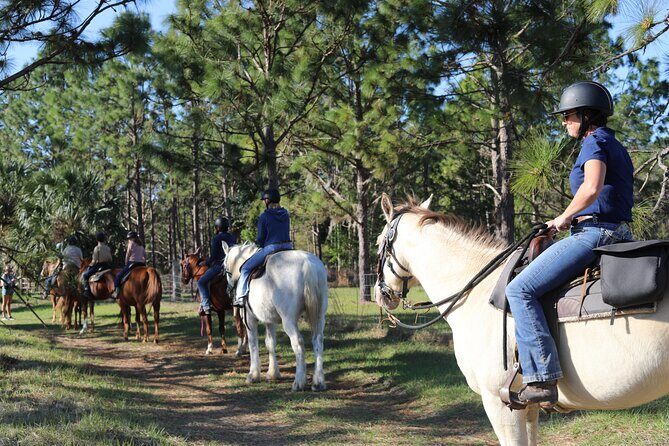 Guided Two Hour Horseback Trail Ride in Central Florida - A Deep Dive into the Trail Ride Experience