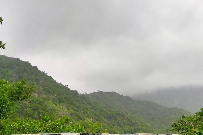 Guided Udaipur Sightseeing Tour - Who This Tour Is Best For