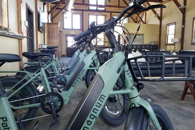 Guided Urban Art and Historical E-Bike Tour in Park City - The E-Bike Experience: Comfort and Ease