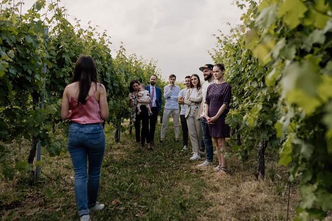Guided Visit and Wine Tasting at the Winery in Veneto - FAQ