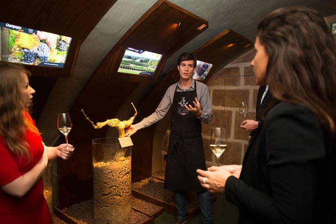 Guided Visit and Wine Tasting Review - Emphasis on Learning and Appreciation