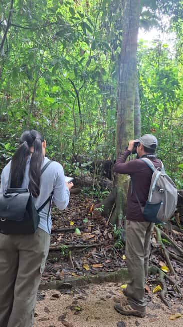 Guided visit in the Palenque jungle (Palenque National Park) - Exploring the Tour Itinerary in Detail