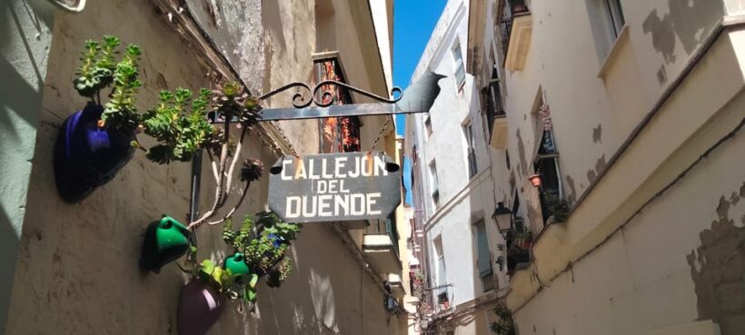 Guided visit on foot through Cádiz: stories from the hand of a local guide - Pricing and Value
