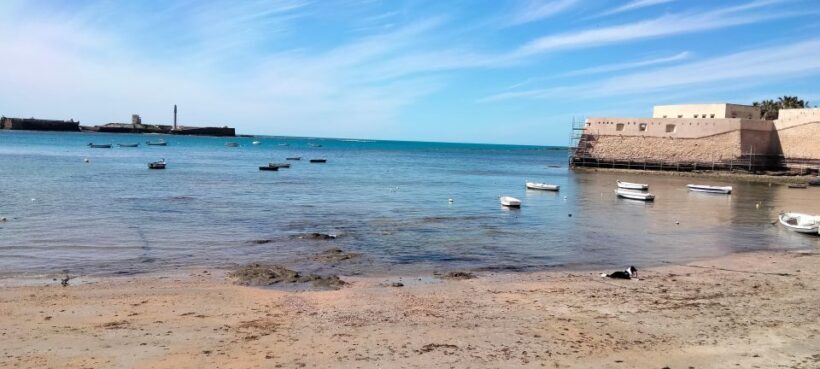 Guided visit on foot through Cádiz: stories from the hand of a local guide - What Travelers Say
