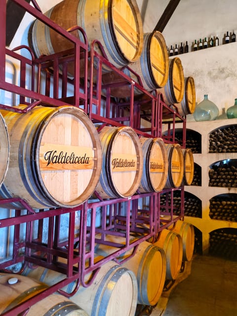 GUIDED VISIT TO BODEGA DEL NERO WINERY - Key Points