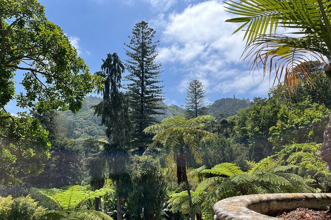 Guided Visit to Palacio Da Regaleira - Architectural Highlights of the Palace