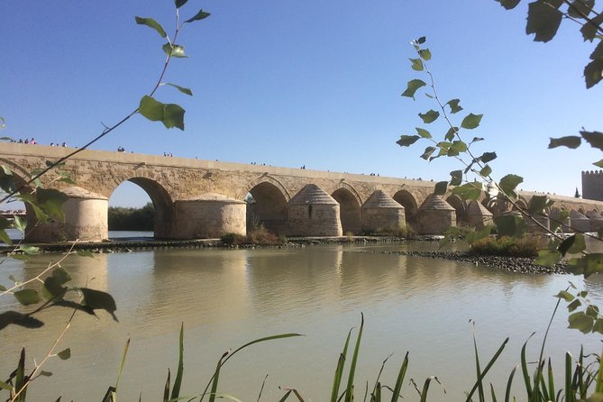Guided Visit to the Mosque-Cathedral, Jewish Quarter, Alcazar, and Synagogue. Official Guide - Confirmation and Cancellation Policy