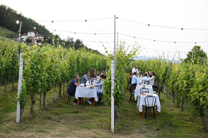 Guided Walk and Lunch in the Vineyard in Alba - Key Points