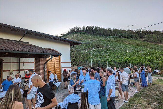 Guided Walk and Lunch in the Vineyard in Alba - What to Expect: A Step-by-Step Breakdown