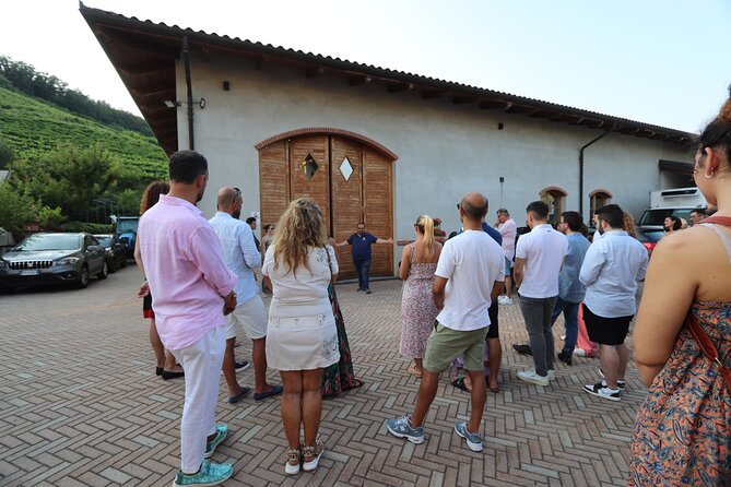 Guided Walk and Lunch in the Vineyard in Alba - The Sum Up: Who’s This Tour Best For?