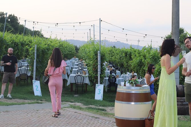 Guided Walk and Lunch in the Vineyard in Alba - FAQ