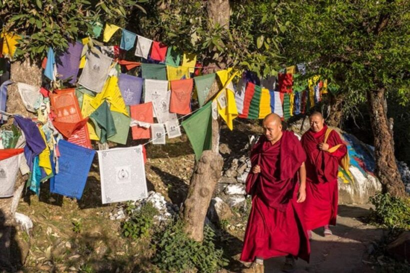Guided Walk, India's Own Mini Tibet at Mcleodganj - FAQs