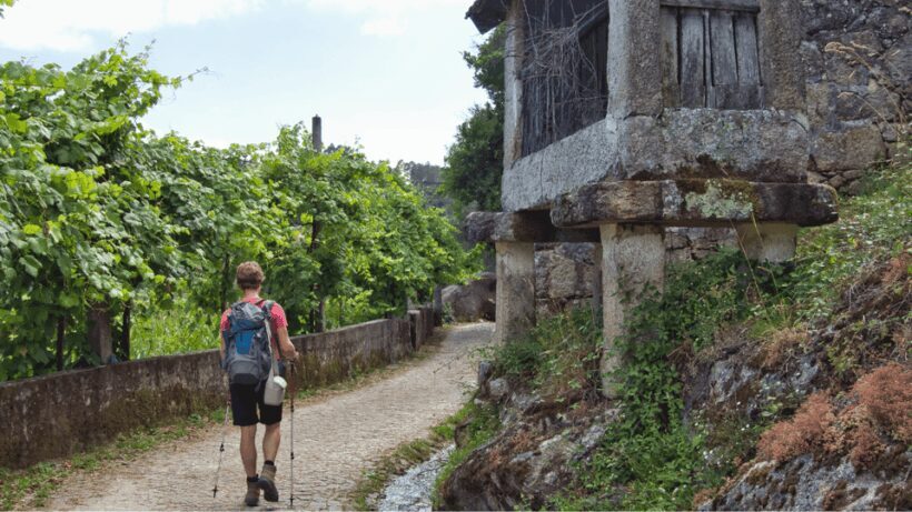 Guided Walk & Picnic Peneda Gerês National Park - An Overview of the Guided Walk & Picnic Experience