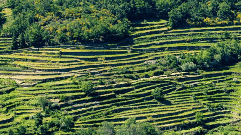 Guided Walk & Picnic Peneda Gerês National Park - Why This Tour Offers Value