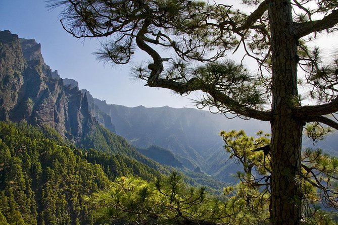 Guided Walking Route to Caldera De Taburiente - Recommended Gear and Preparation