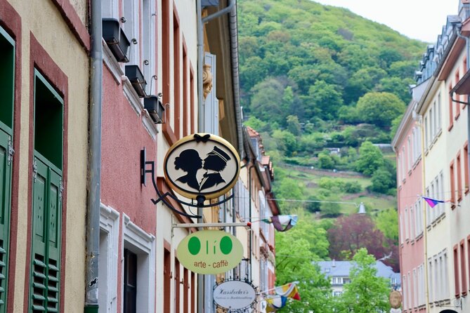 Guided Walking Tour in Heidelberg - Accessibility and Additional Information